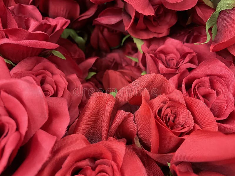 Floral Abstract Background Red Roses Bunched Up Stock Image - Image of ...