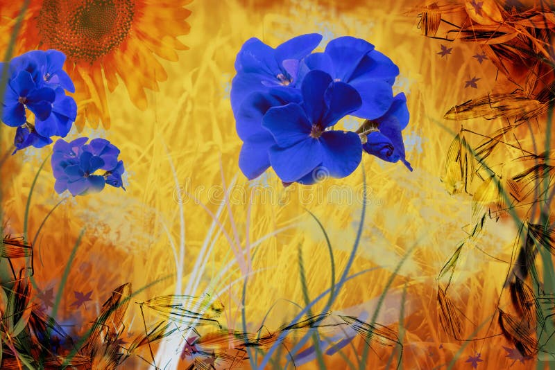 Floral Abstract Collage of Simple Summer Flowers Stock Photo - Image of ...