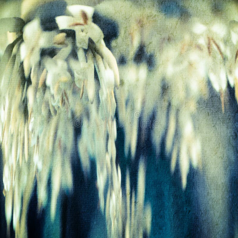 Floral abstract stock image. Image of abstract, beauty - 57639745