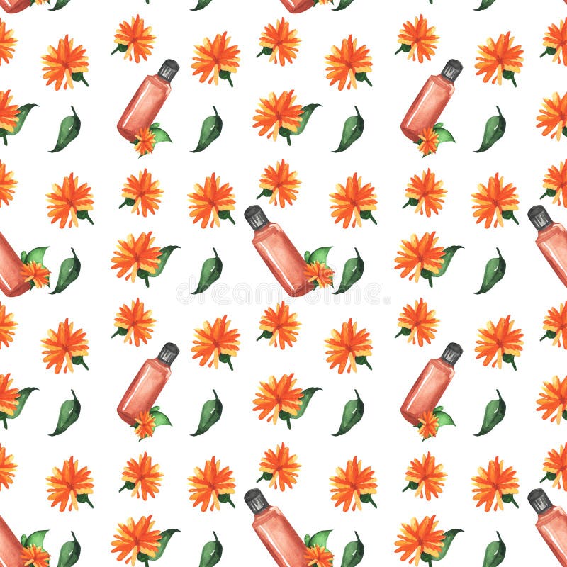 Floral Aromatherapy Seamless Pattern. Colorful Pattern with Gerbera ...