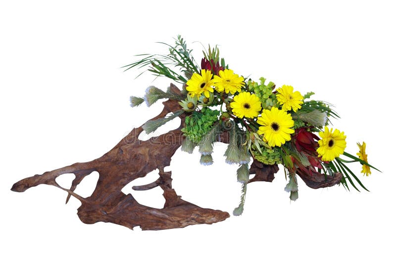 Floral Arrangement on Driftwood Stock Image - Image of clipping, floral ...