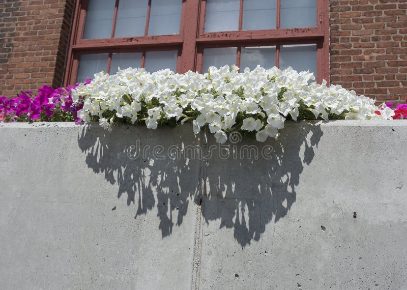 Floral arrangement outside stock image. Image of outdoors - 42993371