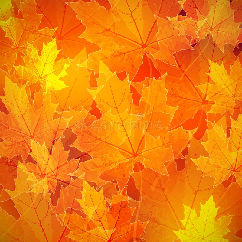 Floral Autumn (fall) Background with Maple Leaves Stock Vector ...