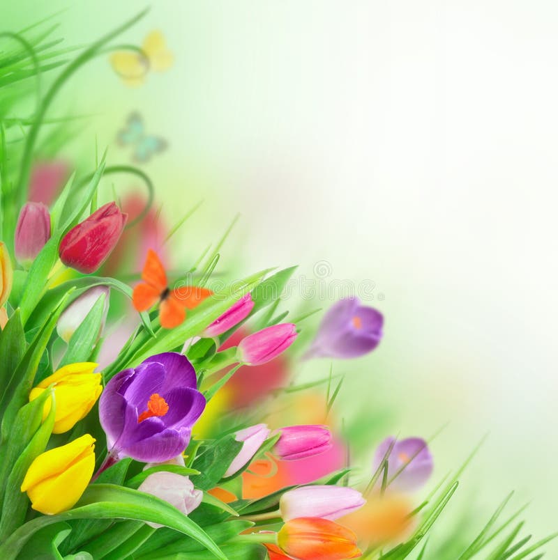 Floral background stock photo. Image of bouquet, flora - 27883066