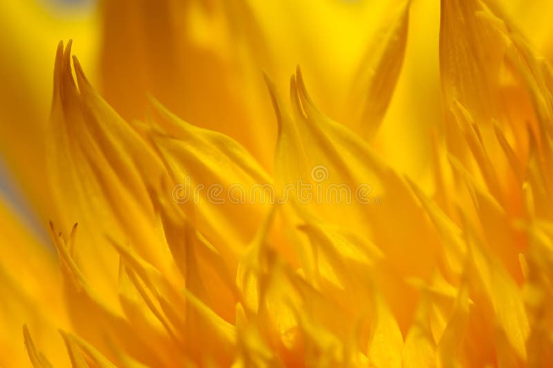 Golden net background stock photo. Image of gradient, water - 1116562