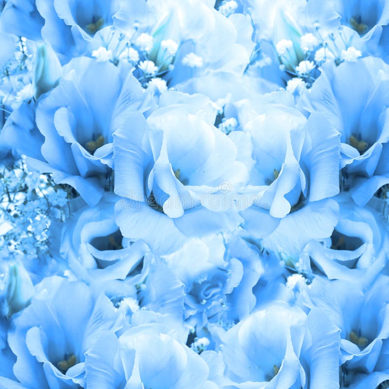 Soft Blue Floral Background. Stock Photo - Image of abstract, card ...