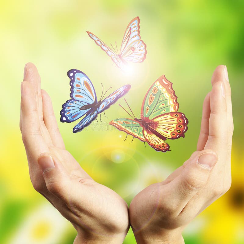 Floral Background with Butterfly and Flowers Stock Photo - Image of ...