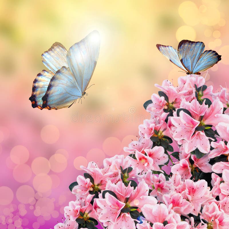 Floral Background with Butterfly and Flowers Stock Illustration ...