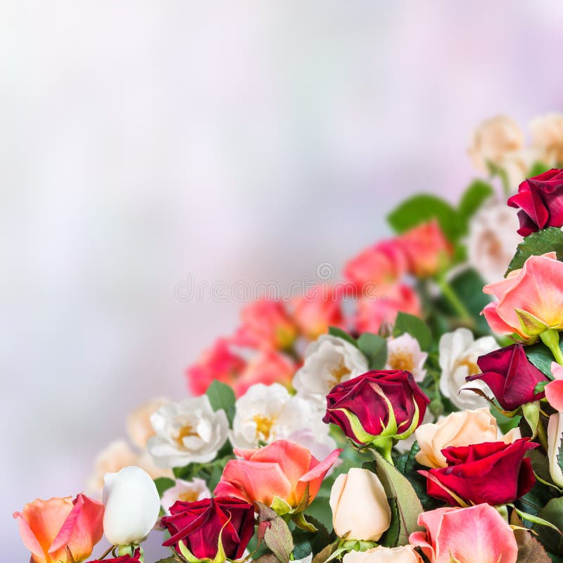 805 Floral Wallpaper Oasis Stock Photos - Free & Royalty-Free Stock ...