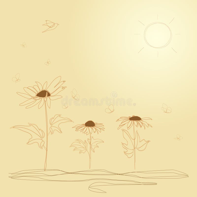 Daisy Field Outline Sketch Hand Drawing,Daisy Wallpaper Background ...