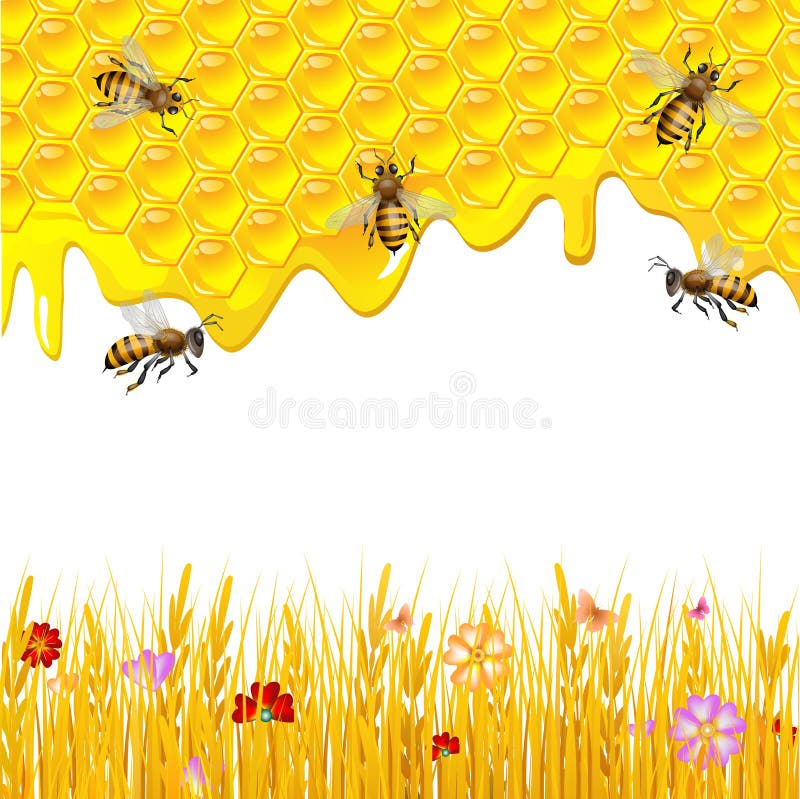 Happy bees and beehive stock vector. Illustration of pattern - 46821761