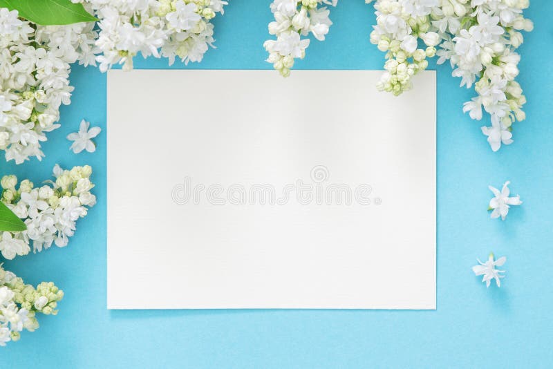 Floral Background. Lilac Flowers Empty Greetings Card Stock Image ...
