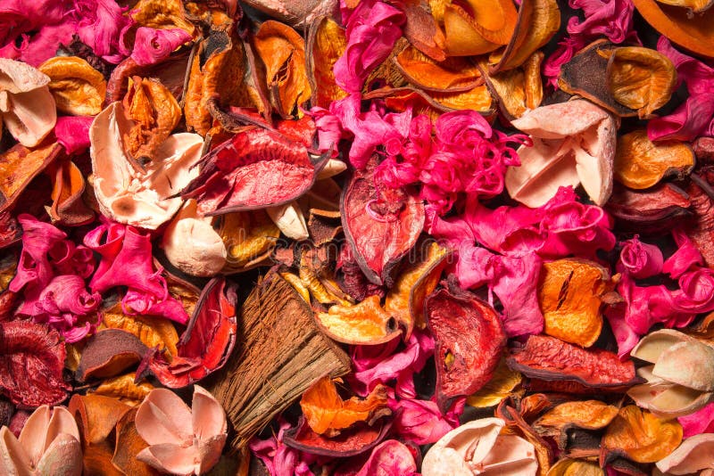 Floral Background of Multicolored Fragments Stock Photo - Image of ...