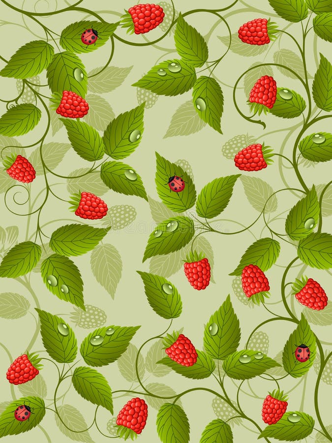 Raspberry Seamless Pattern for Your Design Stock Vector - Illustration ...