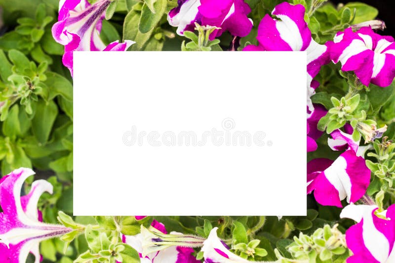 Floral Background with a Rectangular Shape White-colored. Mockup ...