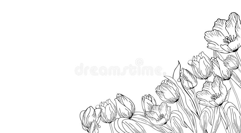 Floral Floral Background with Tulips Stock Vector - Illustration of ...