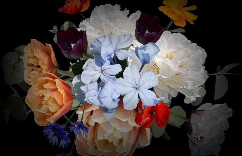 Scalable Wallpapers Stock Photos - Free & Royalty-Free Stock Photos ...