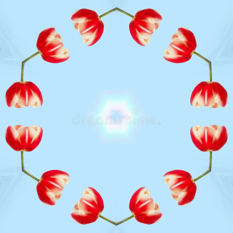 Floral Background with Vibrant Colors Flowers in Spring Stock ...