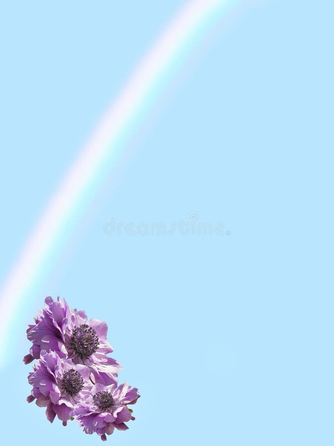 Floral Background with Vibrant Colors Flowers in Spring Stock Photo ...