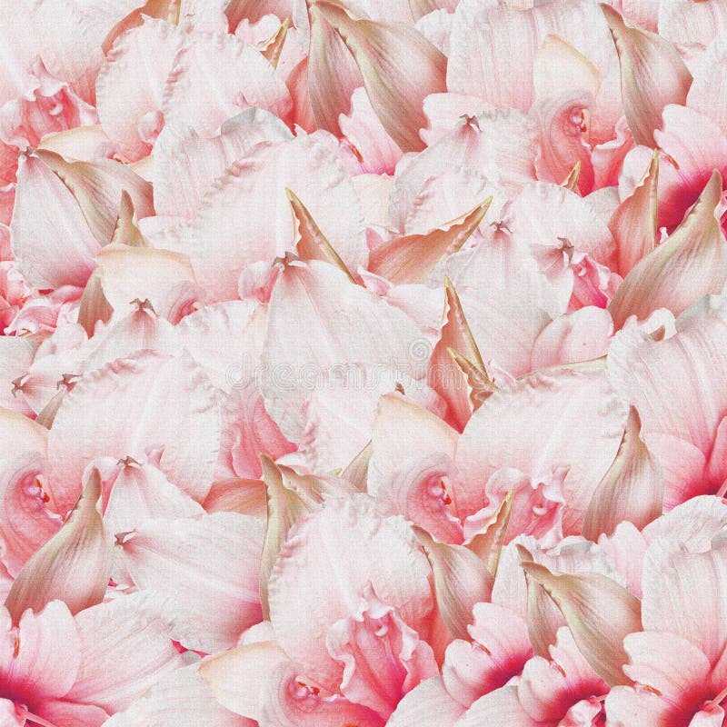 Floral bed stock illustration. Illustration of decoration - 10657603