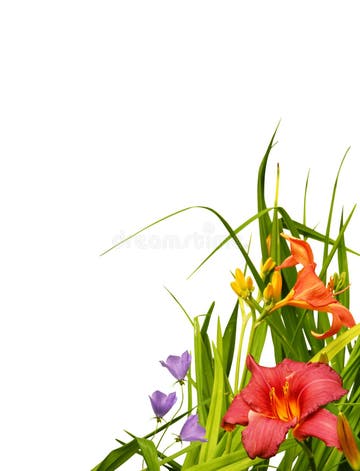 White Lilies Corner Border Stock Photos - Free & Royalty-Free Stock ...