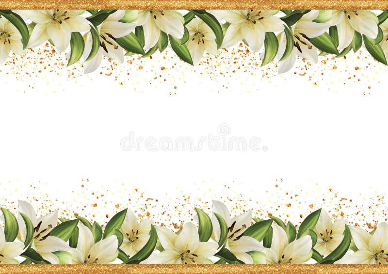 Floral Border. White Lily Flowers Seamless Pattern. Stock Image - Image ...