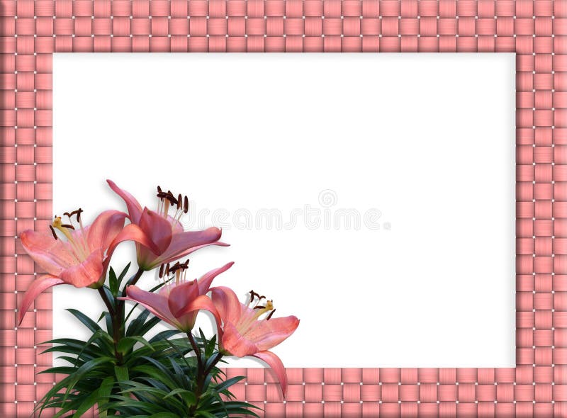 Pink Lilies Floral Border Invitation Stock Illustration - Illustration ...