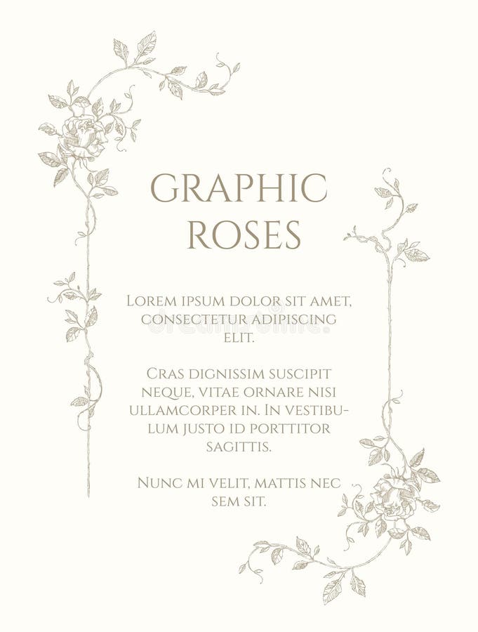 Floral Frame. Graphic Roses. Design Page. Stock Vector - Illustration ...