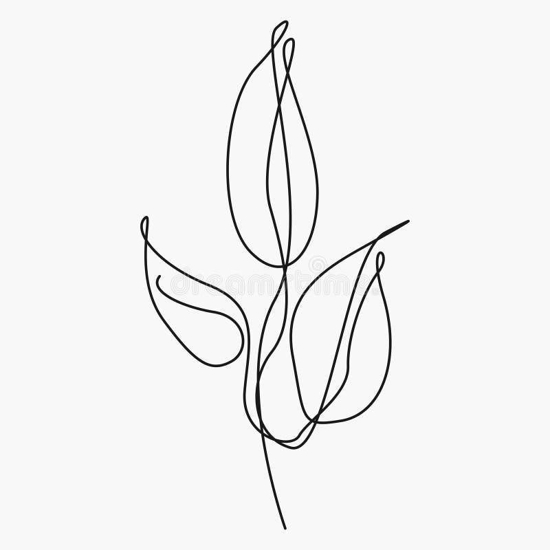 Floral Botanical Design Element. Floral Line Art Design Asset Stock ...