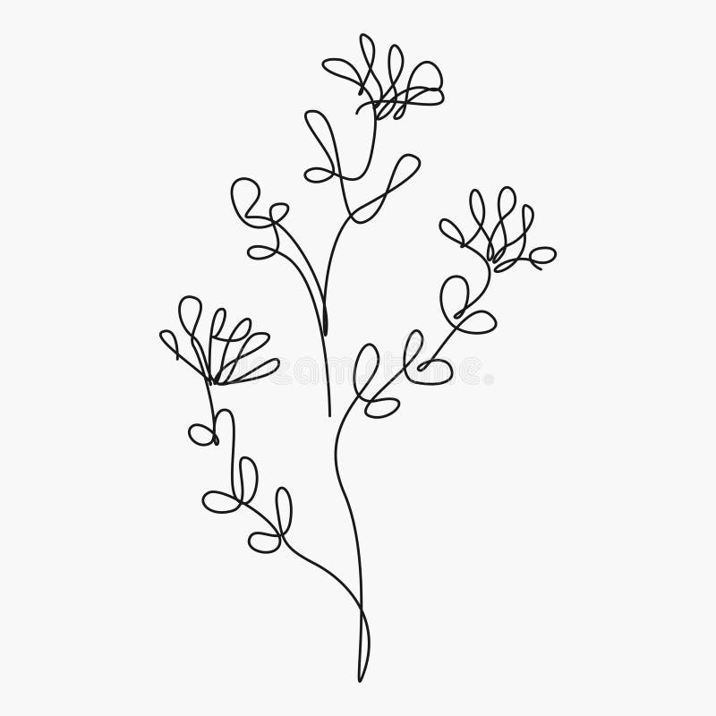 Floral Botanical Design Element. Floral Line Art Design Asset Stock ...
