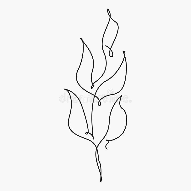 Floral Botanical Design Element. Floral Line Art Design Asset Stock ...