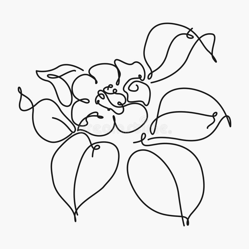 Floral Botanical Design Element. Floral Line Art Design Asset Stock ...