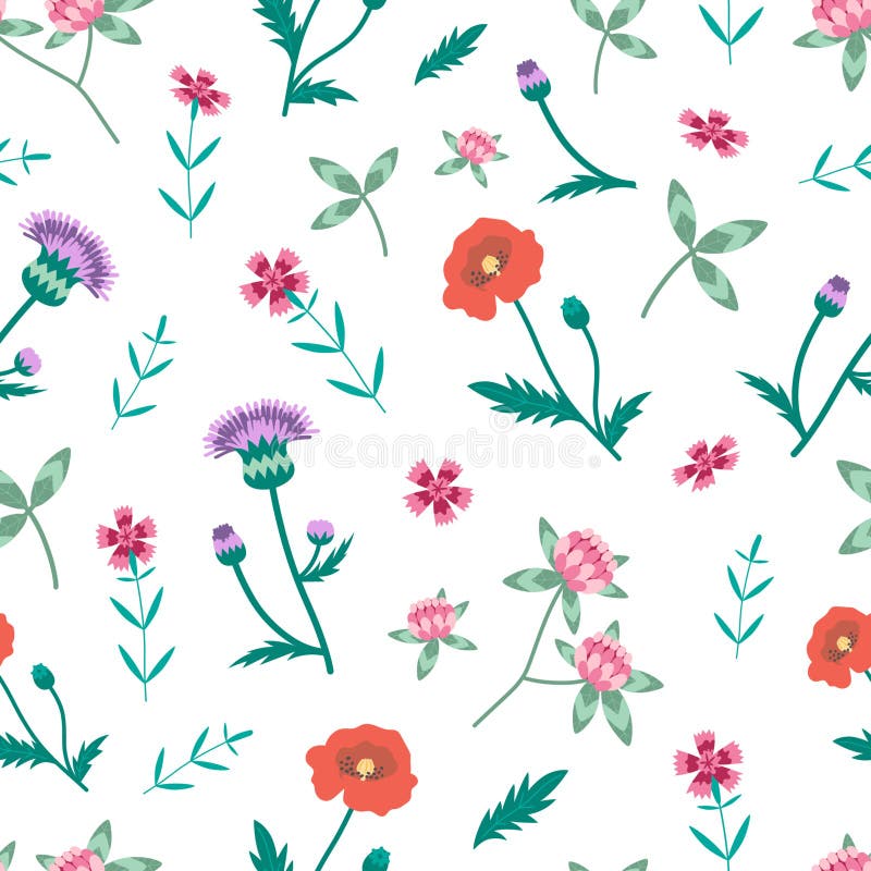 Floral Botanical Wildflower Seamless Pattern. Stock Illustration ...