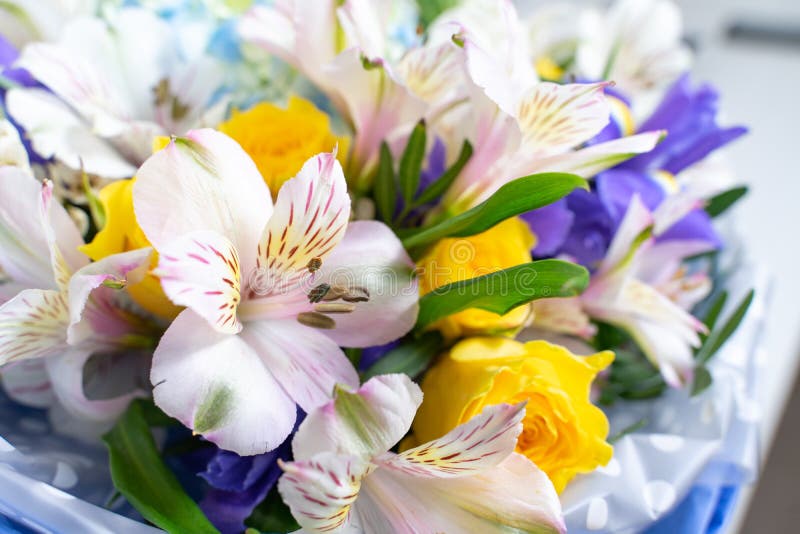 Floral Color Mix Background with Selective Focus Stock Photo - Image of ...