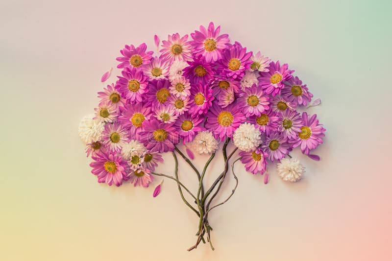 Floral Composition, Bunch of Flowers, Isolated, Copy Space Stock Photo ...