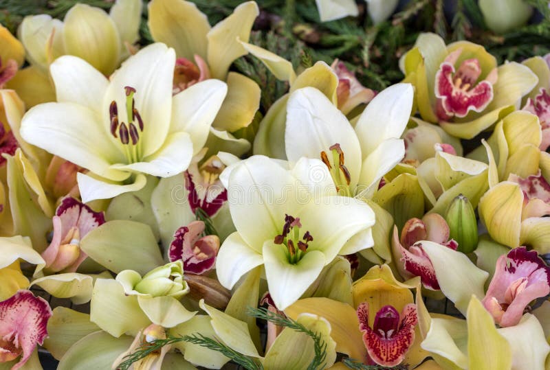 Floral Composition with Orchid and Lily Flowers. Stock Image - Image of ...