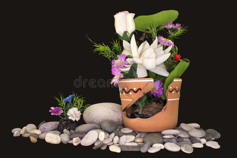 Floral composition photo. stock image. Image of beautiful - 91992999