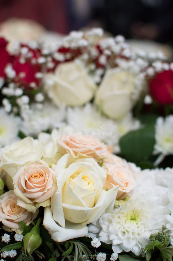 Floral Composition of White and Cream Roses and Chrysanthemums Stock ...