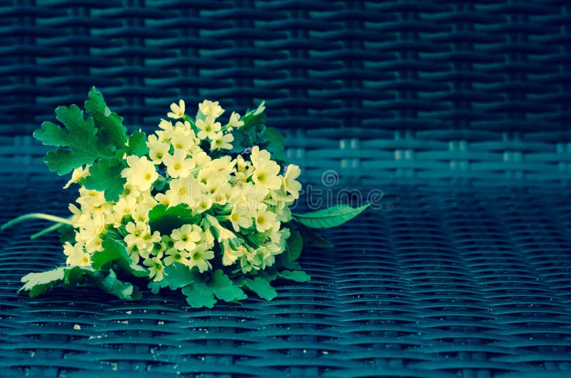 Paigle Bunch Stock Photos - Free & Royalty-Free Stock Photos from ...