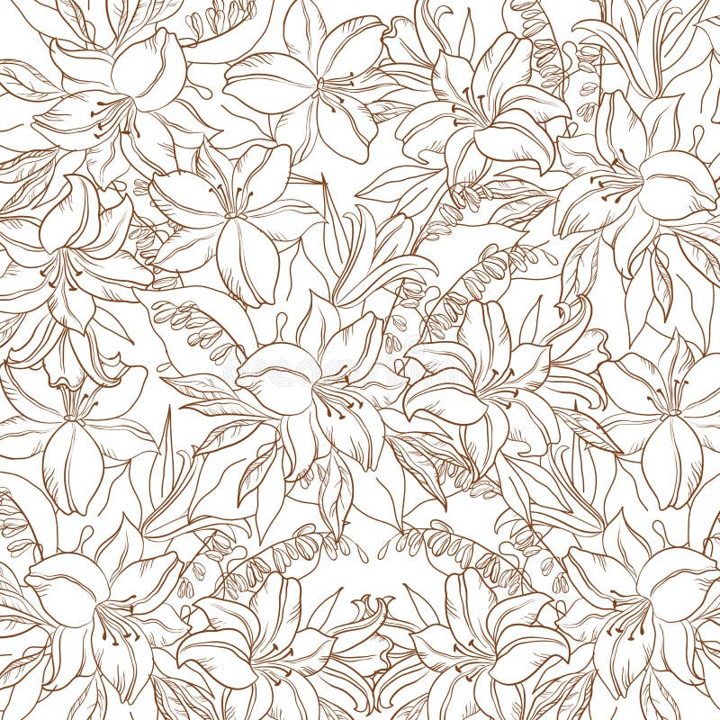 Flower lily, contours stock vector. Illustration of black - 19011037