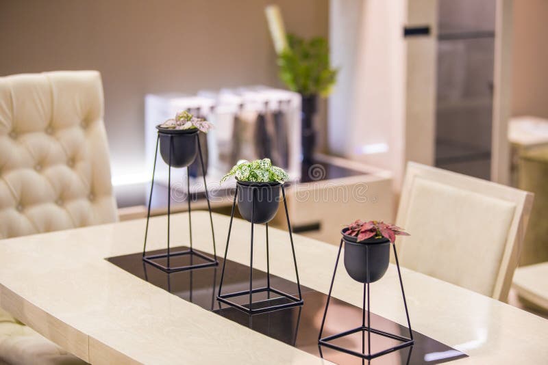 Floral Decor in a Meeting Room in the Office Stock Photo - Image of ...