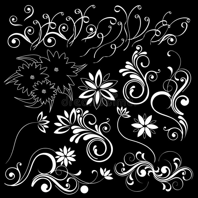 Floral Design Elements Black Background Stock Illustration ...