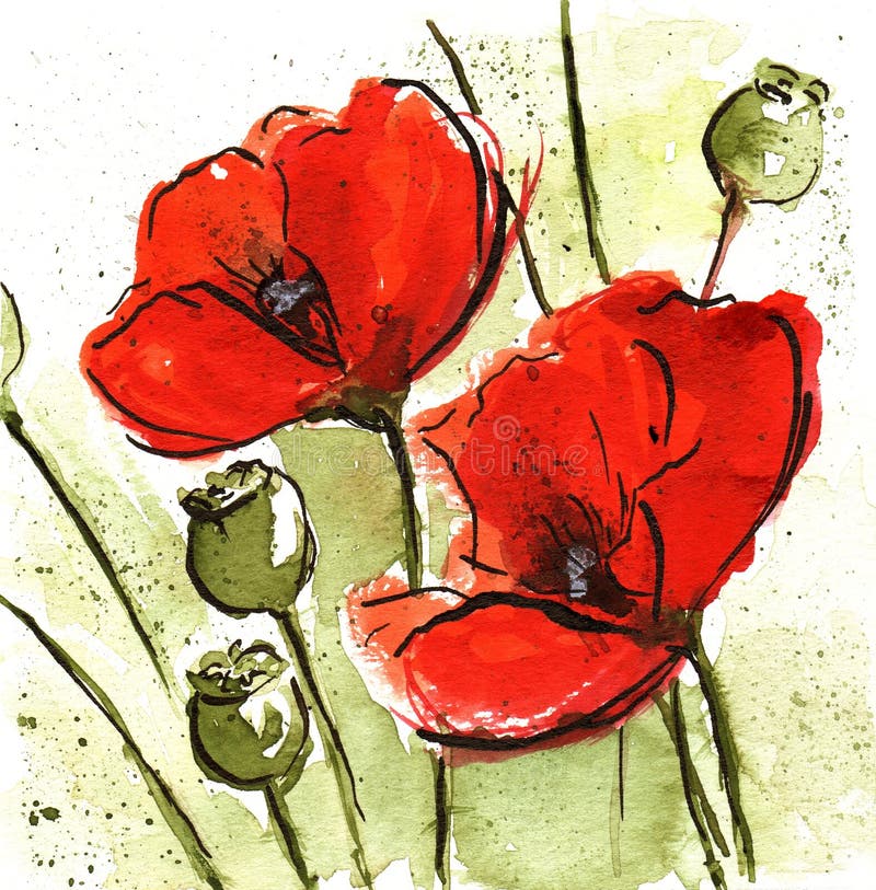 Floral Design with poppies stock illustration. Illustration of ...