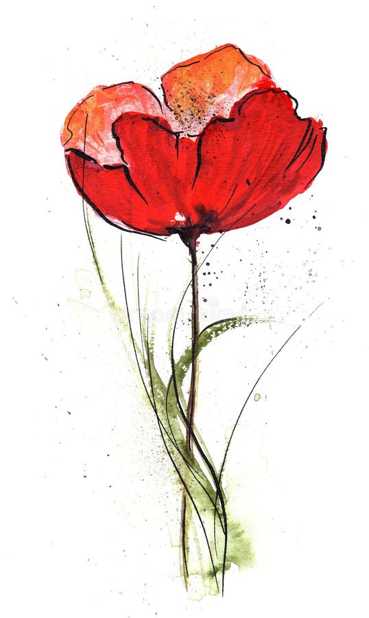 Floral Design with poppies stock illustration. Illustration of ...