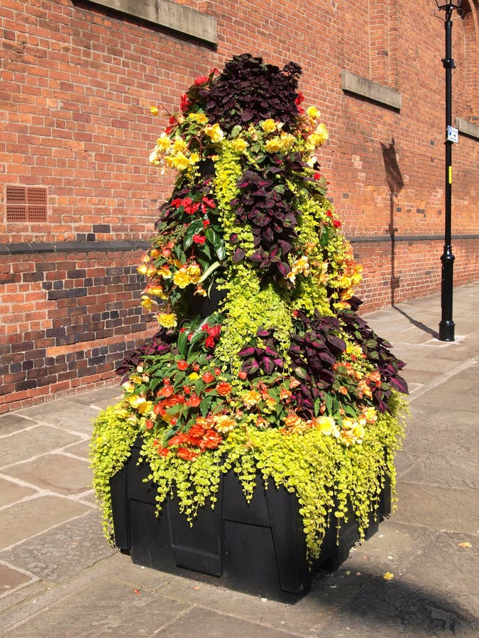 Floral Display Royalty Free Stock Image - Image: 10505806