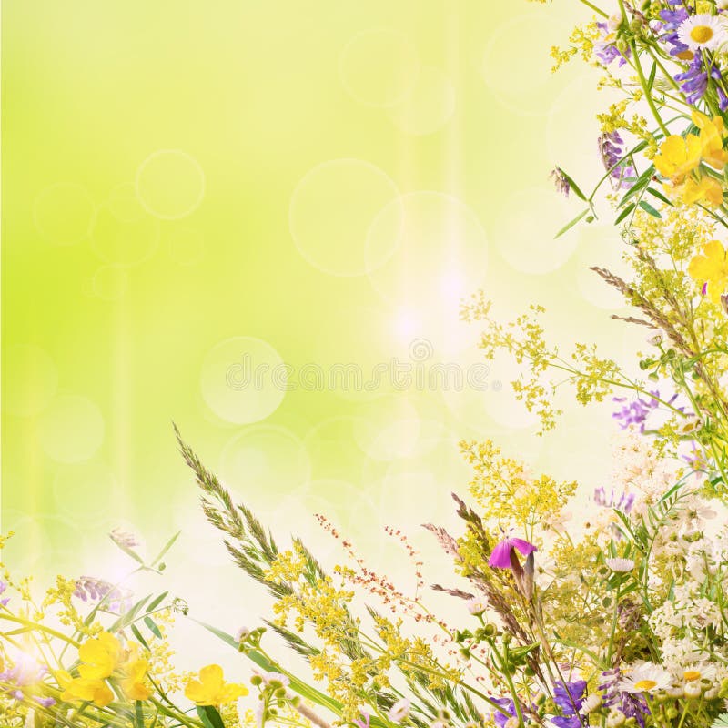 Floral easter background stock image. Image of fresh - 39357163