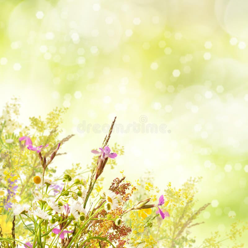 Floral easter background stock image. Image of greeting - 39466093