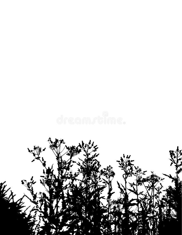 Floral Edge Border stock vector. Illustration of ornamental - 4909427