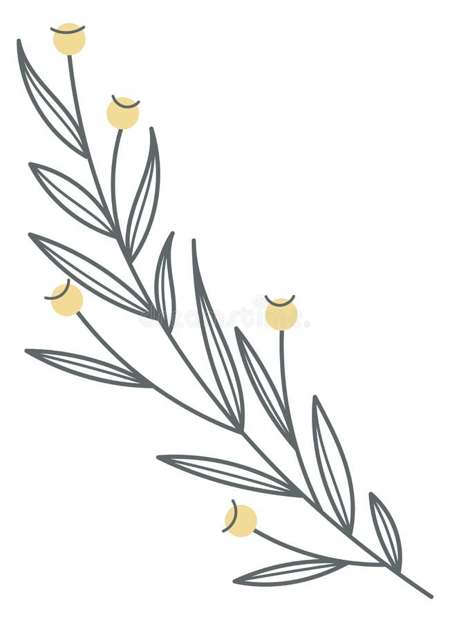 Ornate Botanical Branch Header. Decorative Floral Element Stock Vector ...