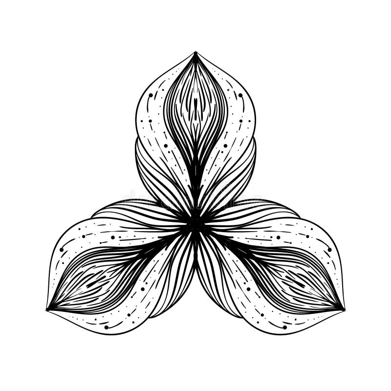 Floral Element on White Background Stock Vector - Illustration of ...